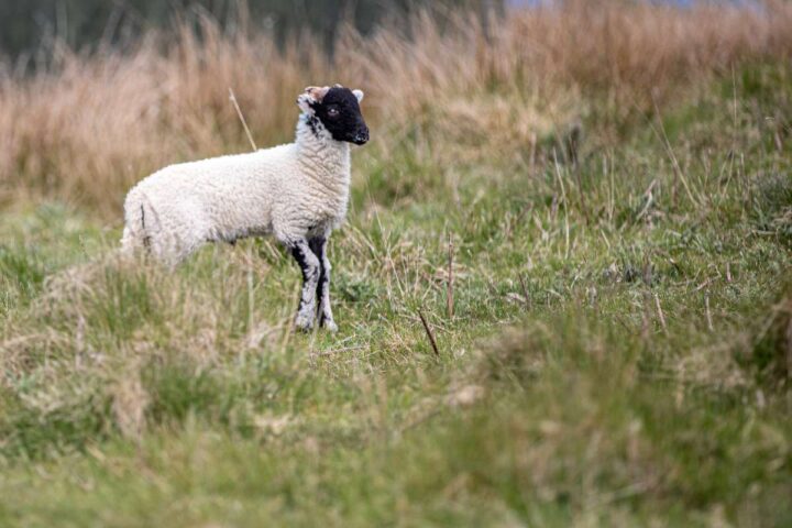 Why Choose Ashworth View | Nursery & Pre-school in Rochdale